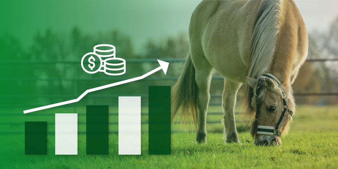 BTW-verhoging vanaf 2025 in de paardensector, hoe zit het? | Agradi.nl