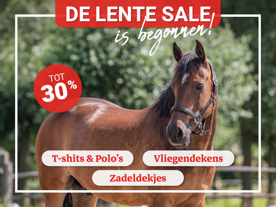 Agradi.nl: online ruitersport winkel. Groot aanbod voor paard & ruiter