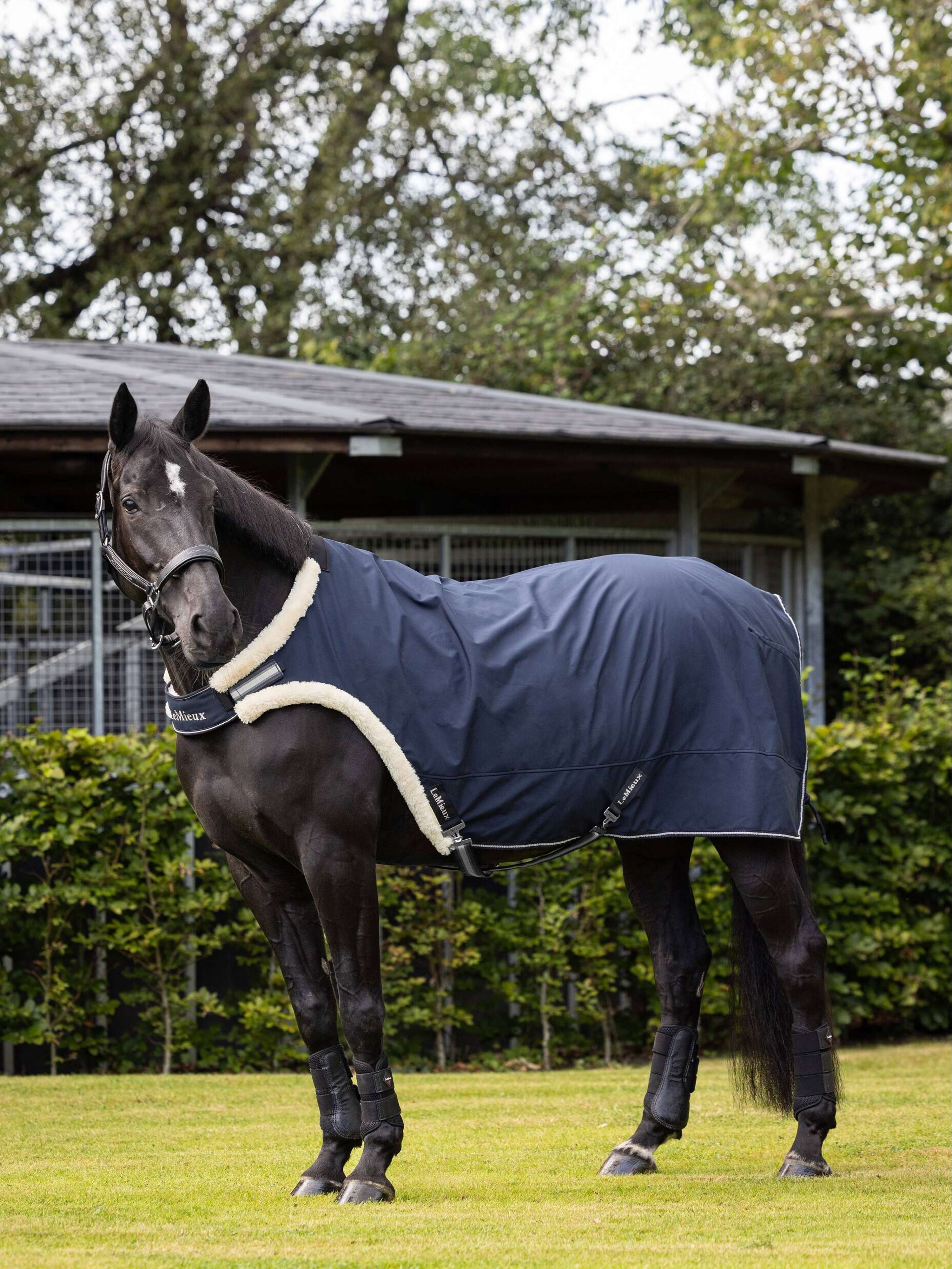 LeMieux Summer 2024 Navy | Agradi.nl