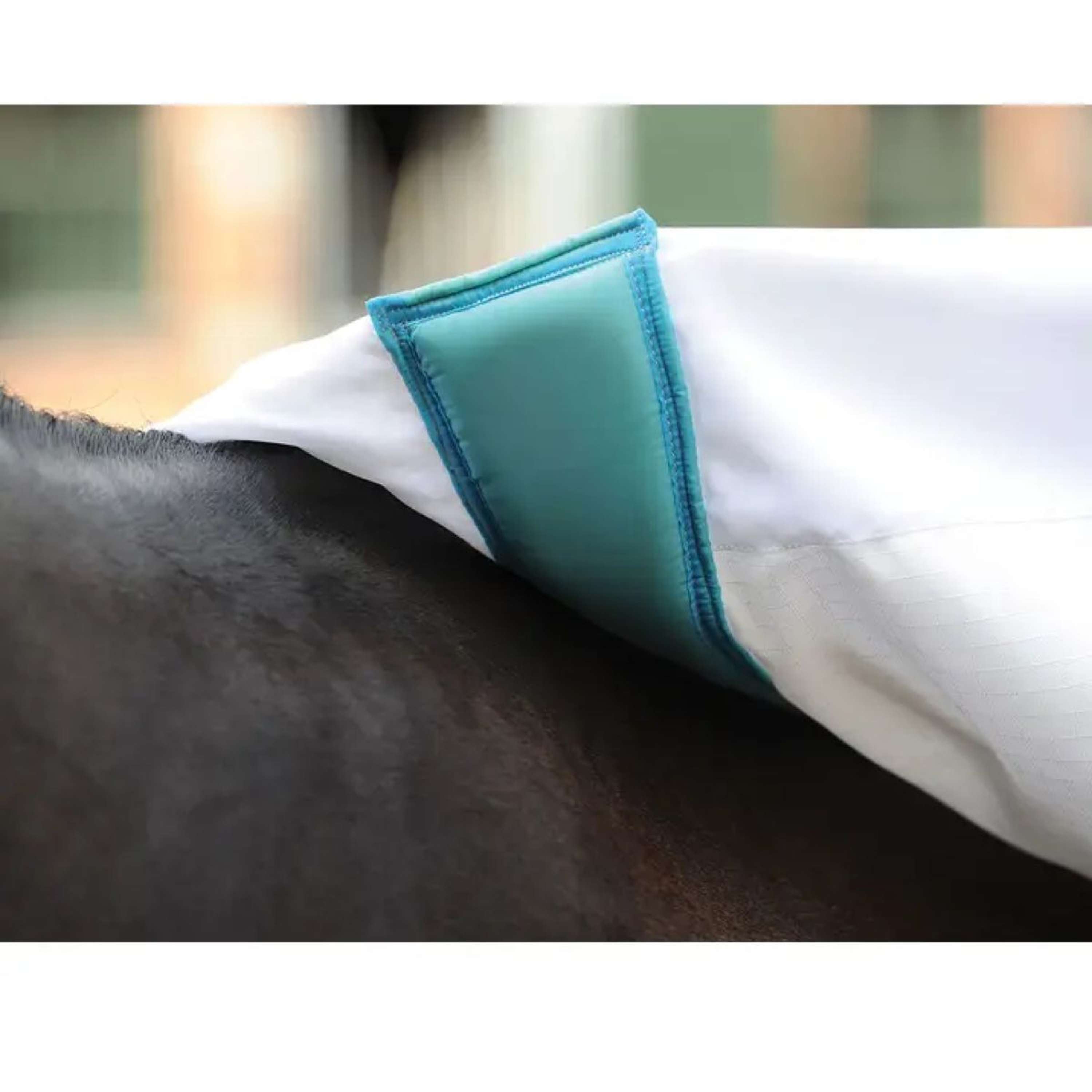 Weatherbeeta Eczeemdeken Sweet Itch Combo Neck Wit/Blauw | Agradi.nl